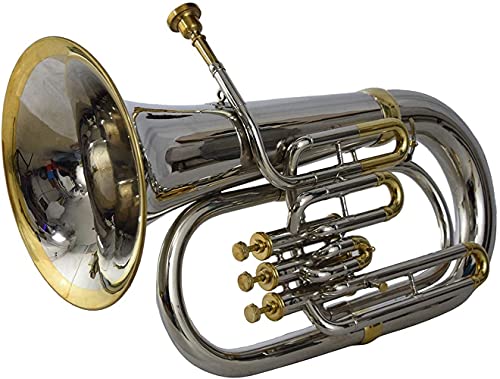 15 Best Euphonium Reviews 2022 – Best Euphonium Brands - CMUSE