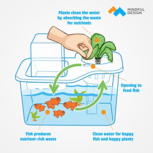 Mindful Design Mini Indoor Aquaponics Growing System Fish Tank -Table ...