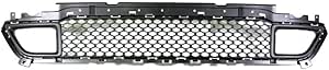 Amazon.com: Mopar 68323668AB GRILLE LOWER : Automotive