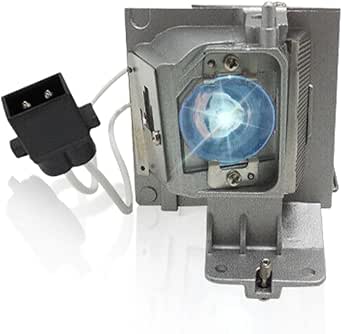 Amazon.com: SORNEICDR BL-FU195A/BL-FU195C/SP.72G01GC01 Replacement ...