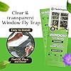 Amazon.com : Fly Trap Indoor or Outdoor Usage | Window Fly Traps are ...