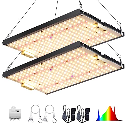 Best LED Light For 4x4 Grow Tent