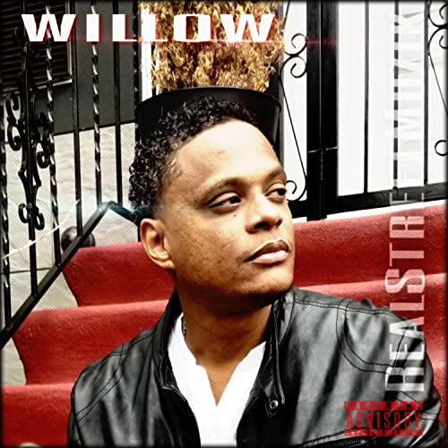 Cold Winterz de WILLOW no Amazon Music Unlimited