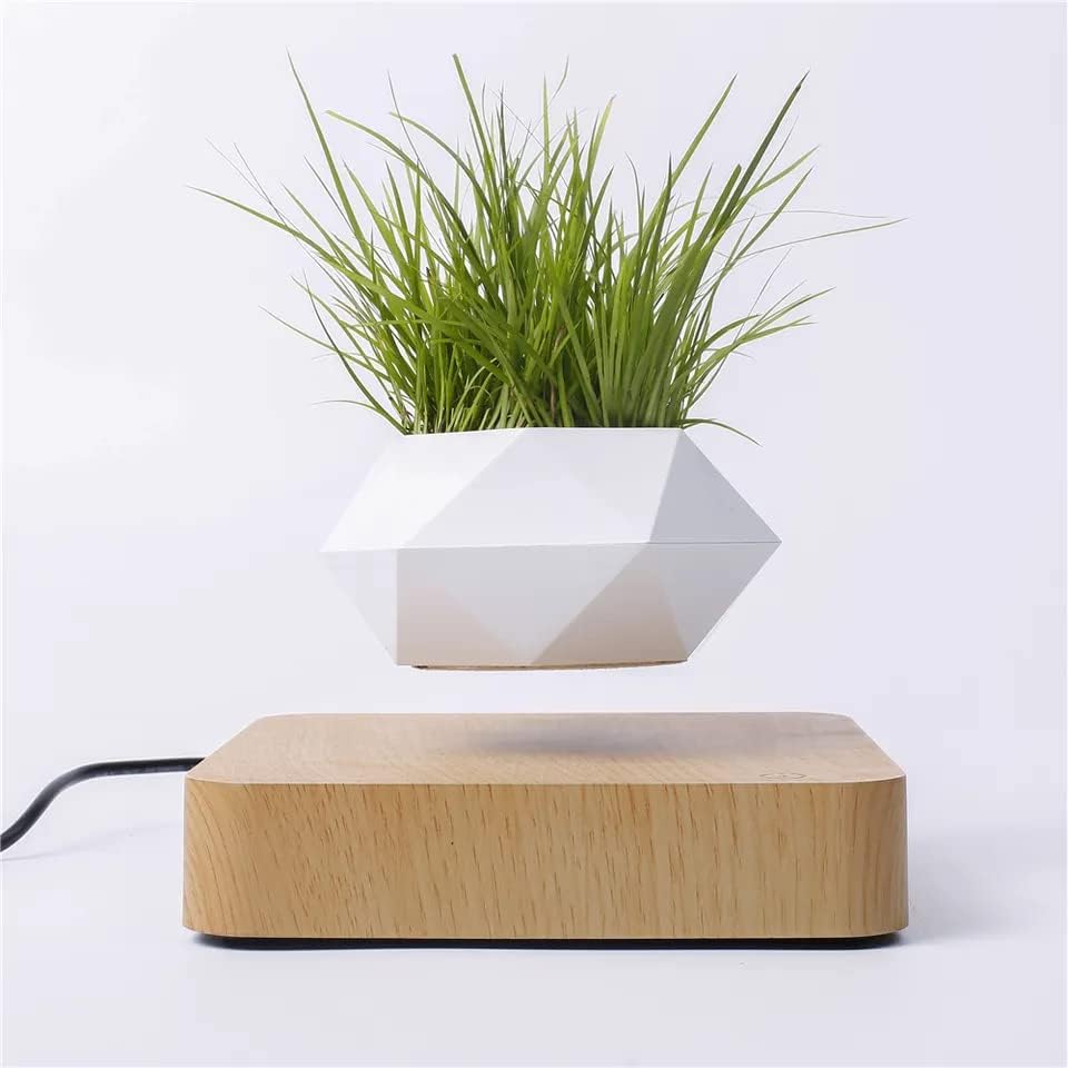 Amazon.com : Levitating Air Bonsai Pot, Floating Bonsai Planter ...