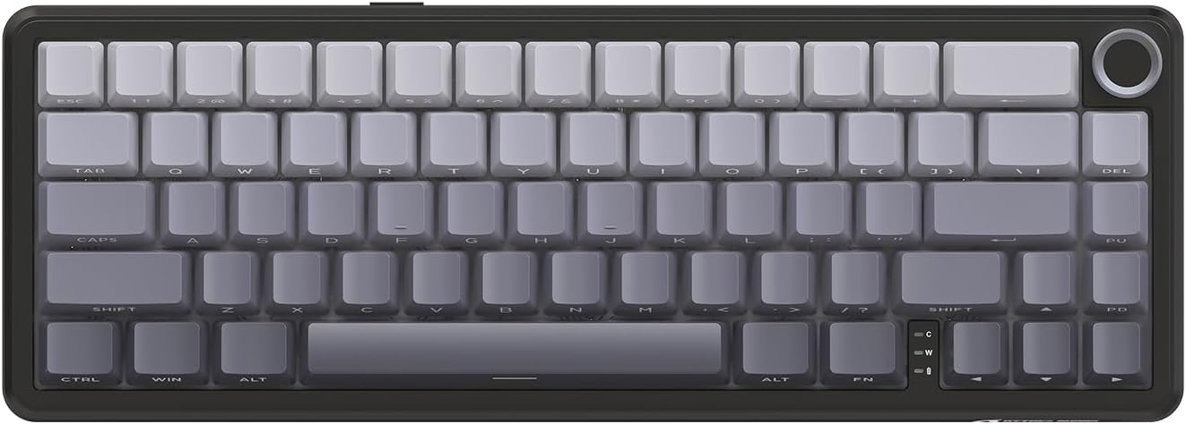 Amazon.com: CORN Anne Pro 2 Mechanical Gaming Keyboard 60% True RGB ...