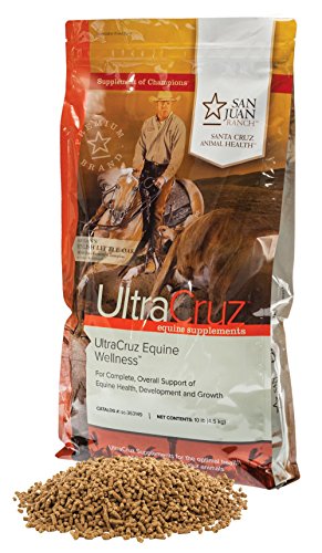 Santa Cruz Skin UltraCruz Equine Natural Fly And Tick Spray For Horses ...