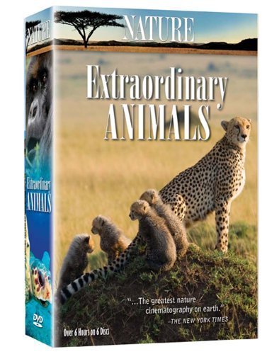 Amazon.com: Nature: Extraordinary Animals by Questar : F. Murray ...