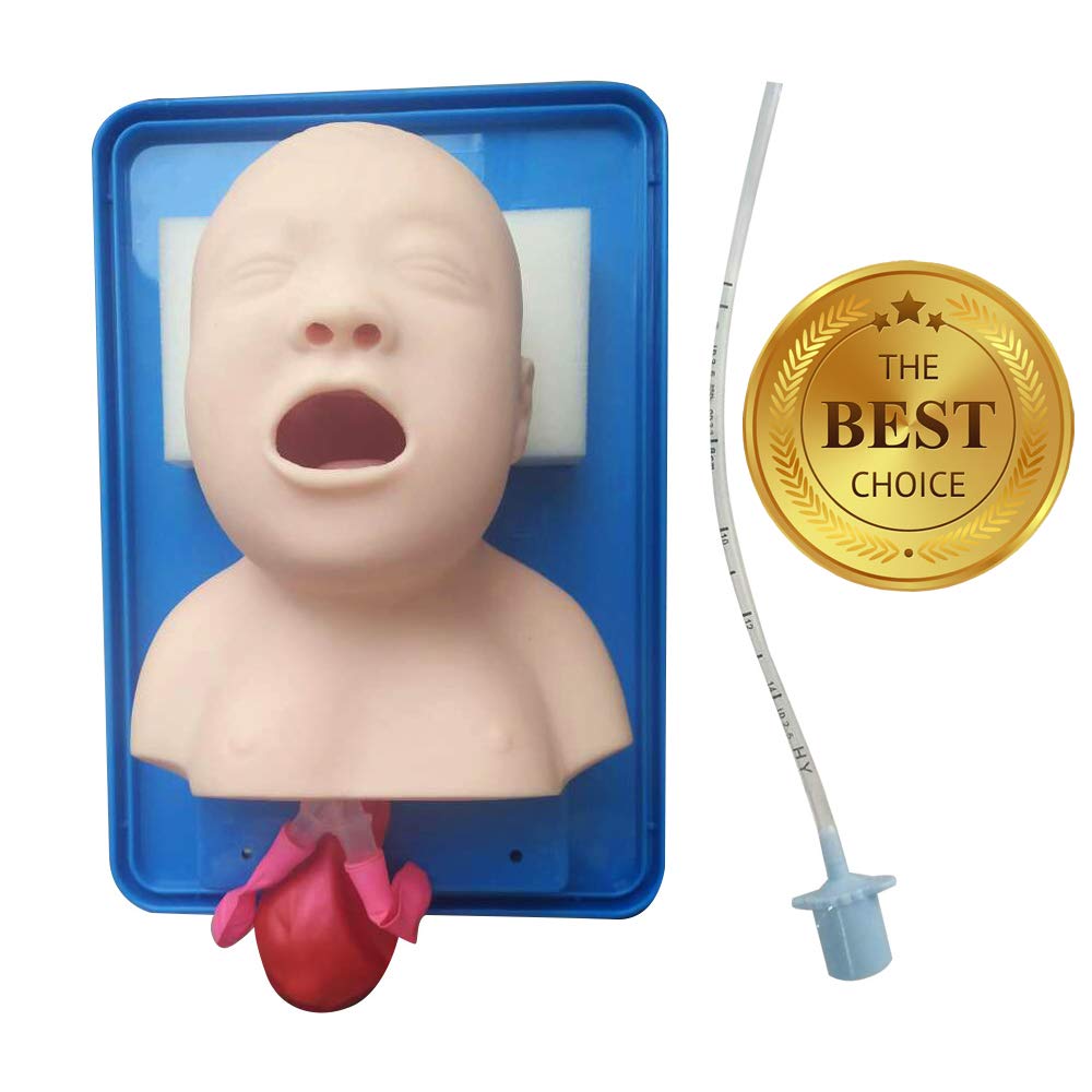 Buy IXAER Intubation Model, Airway Management Trainer Advanced ...