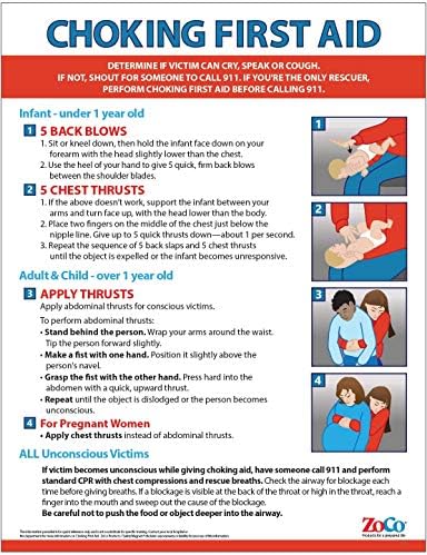 Buy Choking Poster for Infant, Child, Adult - Laminated, 17 x 22 ...