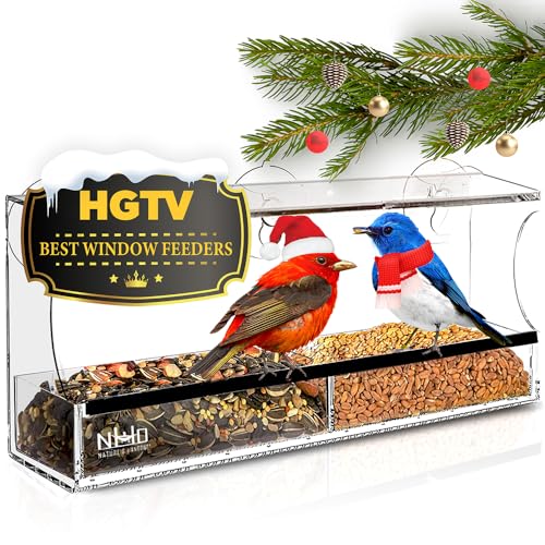 10 Best Window Bird Houses: Reviews and Buying Guide to Bring Birds to ...