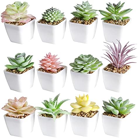 Amazon.com: Mini Artificial Cactus Plants in Ceramic Pots 6 Pcs Potted ...