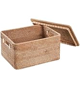 Amazon.com: FIYAMMY Rattan Basket With Lid, Large Lidded Basket For ...