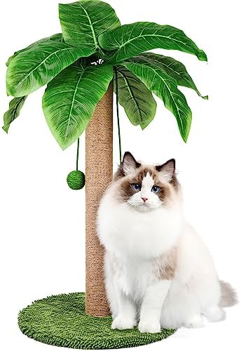 ZooZoo Cat Scratching Post, Cat Coconut Palm Tree for Indoor Cats with ...