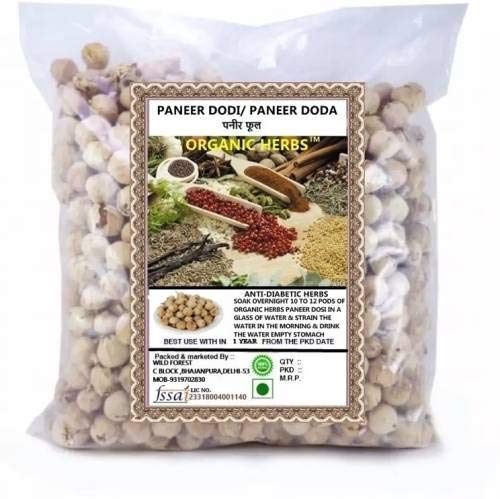 Buy HIGH GROWTH ONLY NOT S: SEED Paneer DODI | Indian Rennet | Paneer ...