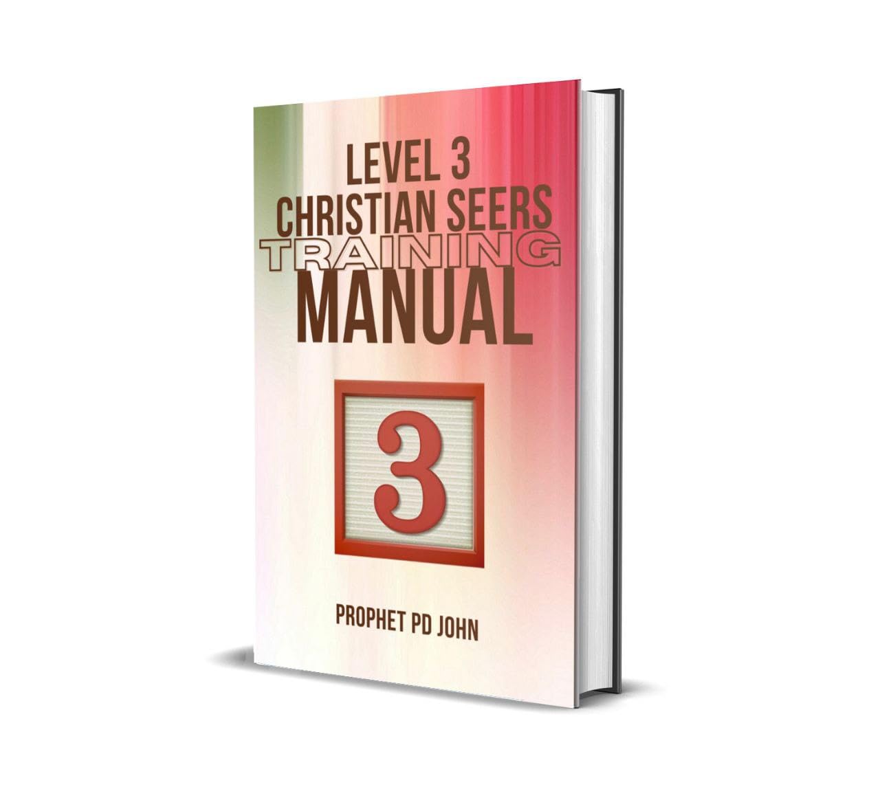 Level 3 Christian Seers Training Manual (Title: Level 1-4 Christian ...