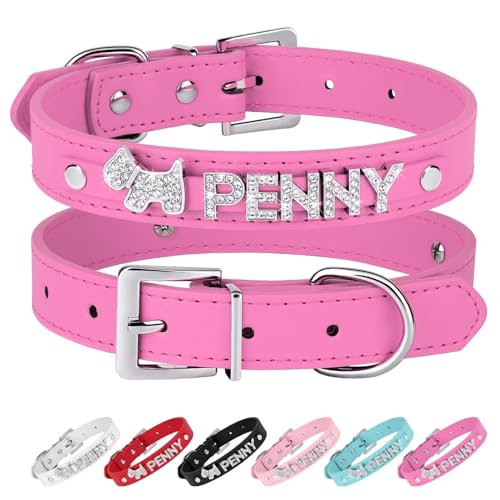 Leather Dog Collar with Name – The 15 best products compared - Wild ...