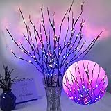 LED Lighted Pitcher | The Green Head