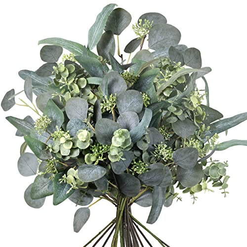 Pop of Color Project's Amazon Page