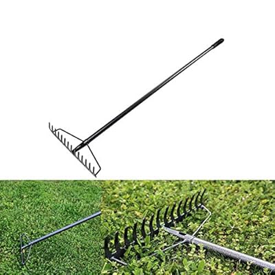 Amazon.co.uk: moss rake