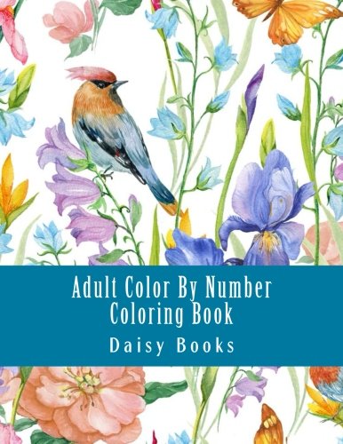 Amazon.com: Adult Color By Number Coloring Book: Jumbo Big Coloring By ...