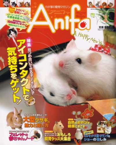 Anifa (アニファ) 2008年 02月号 [雑誌]: unknown author: 4910014490284: Amazon.com ...
