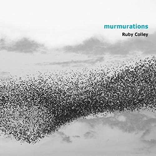 Amazon.com: Murmurations : Ruby Colley: Digital Music