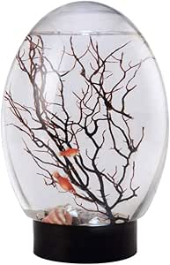 Amazon.com : Self-Sustaining Ecosystem - Mini Fish Tank Ecosphere Closed Aquatic Ecosystem ...