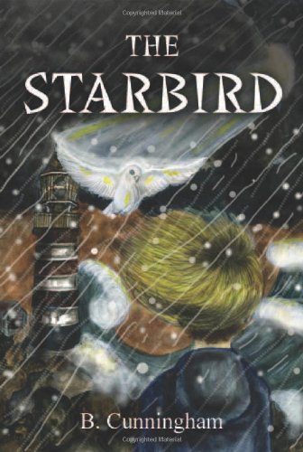 The Starbird: Brian Cunningham: 9781849630597: Amazon.com: Books