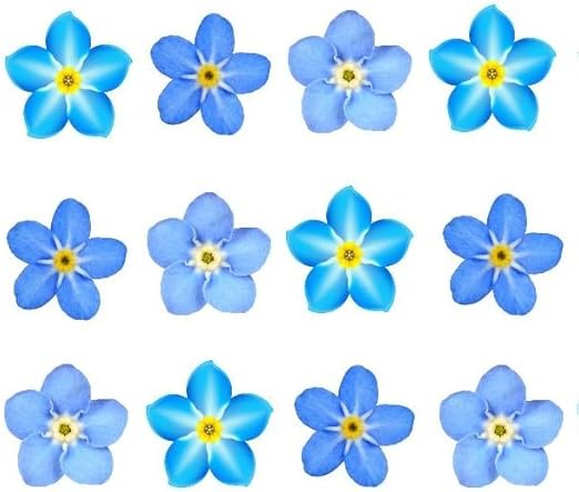 30 x Forget me not flowers edible wafer rice paper cupcake toppers cake ...