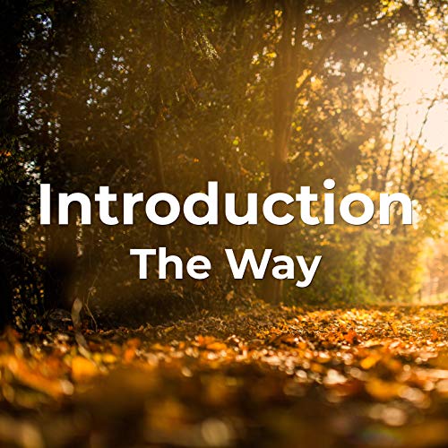 The Way de Introduction en Amazon Music Unlimited