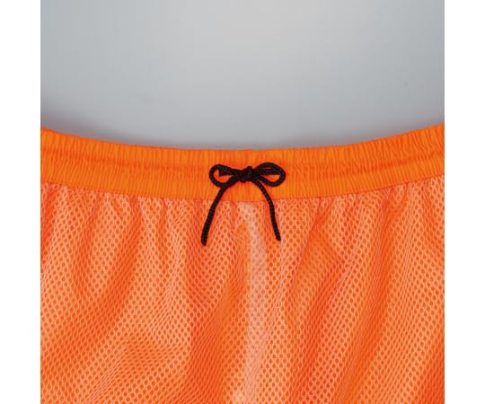 Amazon.co.jp: 船橋 ブレイブレイン オレンジネイビー Lサイズ FS