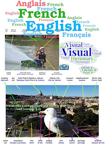 Visual Dictionary English French: Travel into a virtual world and learn ...