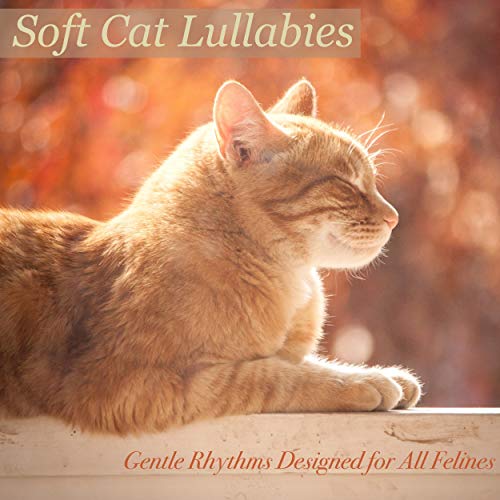 Amazon.com: Soft Cat Lullabies: Gentle Rhythms Designed for All Felines ...