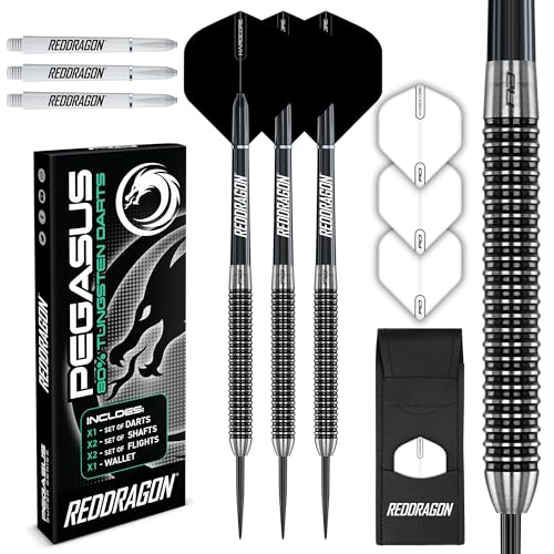 RED DRAGON Pegasus 24 Gramm Dart-Set Test: Ein umfassender ...
