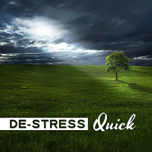 De-Stress Quick: Healing Sounds for Wellbeing, Happiness & Relax ...
