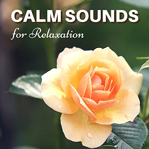 Play Calm Sounds for Relaxation - Gentle Songs to Revitalize, Music ...