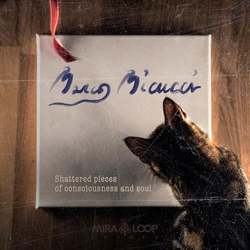 Shattered Pieces of Consciousness and Soul de Marco Micucci sur Amazon ...