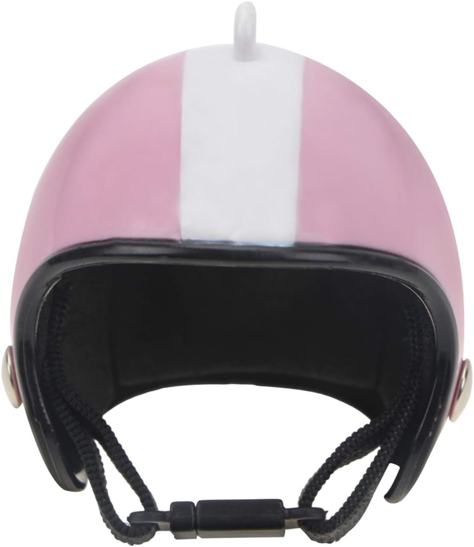 Amazon.com : Safety Chicken Helmets - Funny Chicken Hat Parrot Helmet ...