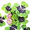 Amazon.com : Easy to Grow Oxalis Shamrock 'Iron Cross' Plant Bulbs (20 ...