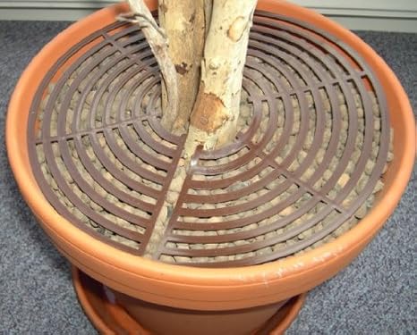 Safetots Plant Pot Soil Guard Brown : Amazon.co.uk: Garden