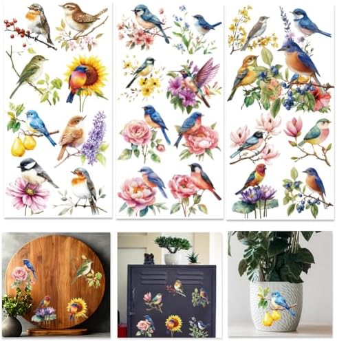 Amazon.com: INFUNLY 3 Sheets Vintage Birds Floral Rub on Transfers for ...
