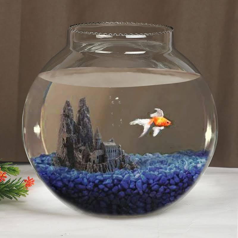 Amazon.in Bestsellers: The most popular items in Aquariums & Fish Bowls