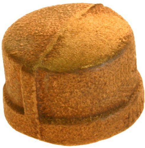 Plumber's Choice 90061 1/4-Inch Brass Cap (10-Pack) : Amazon.in ...