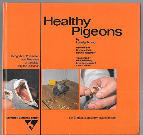 Healthy Pigeons: Recognition, Prevention and Treatment of the Major ...