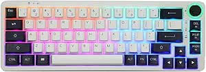 Epomaker Theory TH68 65% Hot Swappable RGB 2.4Ghz/Bluetooth 5.0/Wired ...