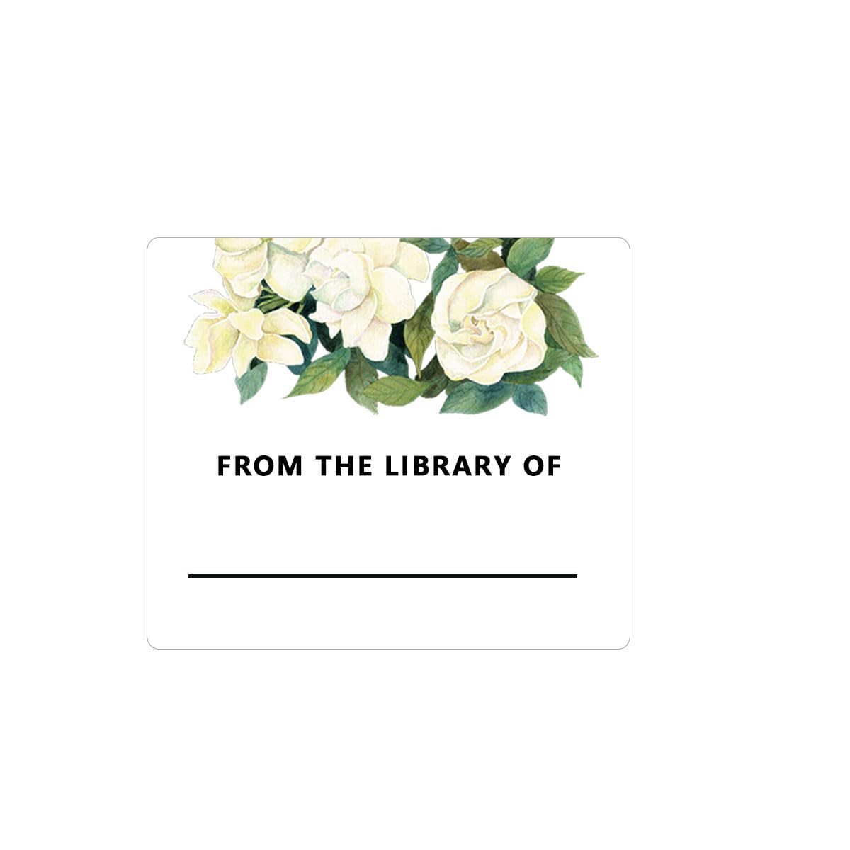 Amazon.com : from The Library of Stickers,2 x 2 Inch This Book Belongs ...
