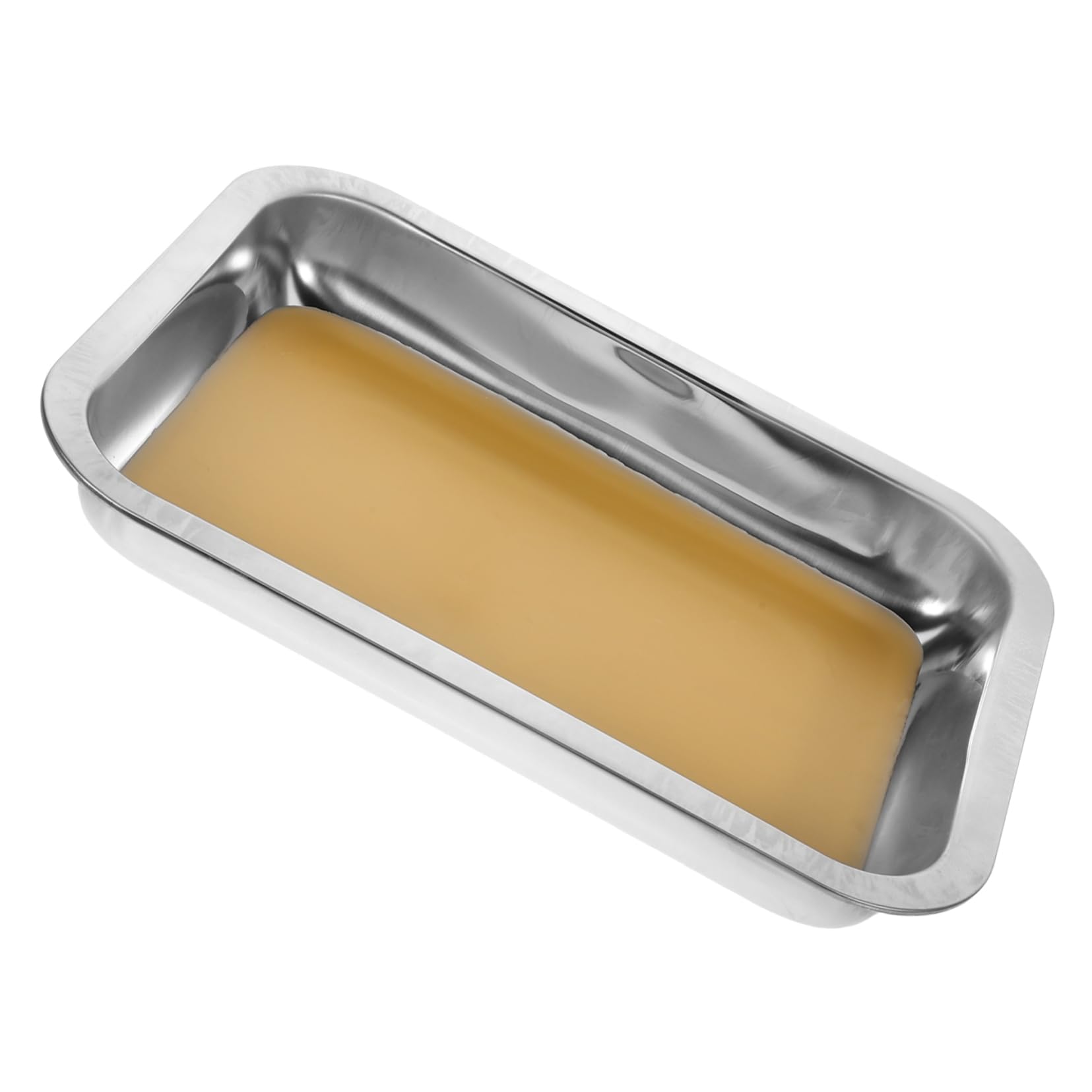 Buy BUGUUYO Anatomy Tray Laboratory Equipment Dissection Pan Metal ...