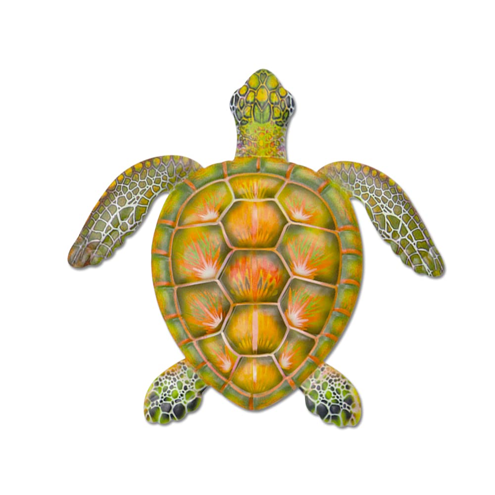 Sea Turtle Top View