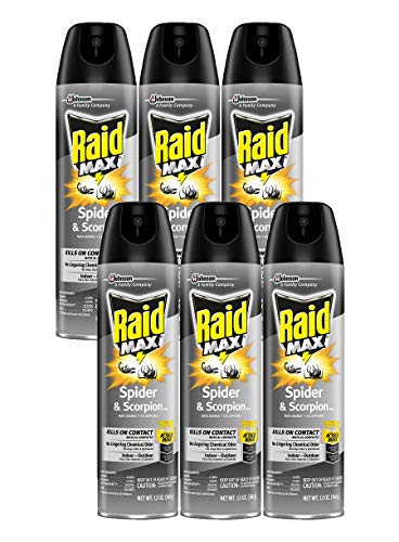 Raid Max Spider Scorpion Killer