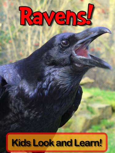 Amazon | Ravens! Learn About Ravens and Enjoy Colorful Pictures - Look ...